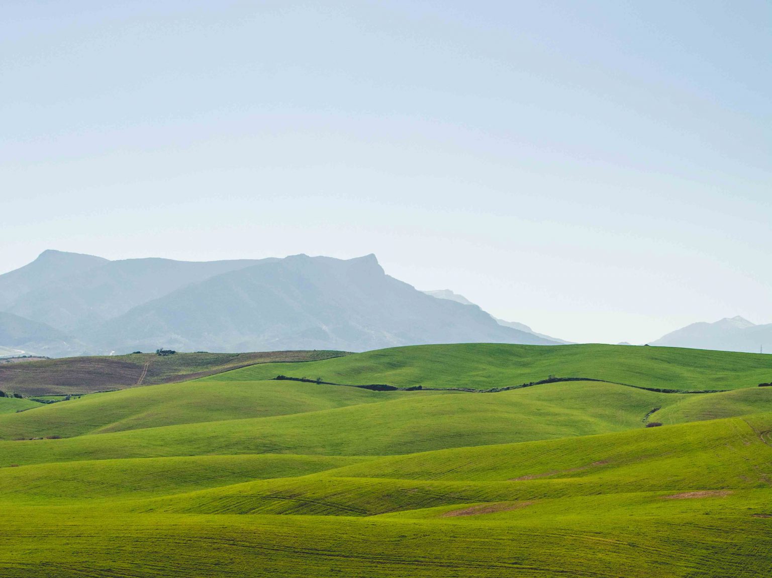 What is the Zero Waste Hierarchy and How Can I Use it? | Zero Waste