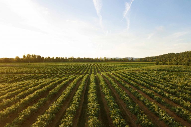 What Is Zero Waste? Learn About the Movement & Why it's Important ...