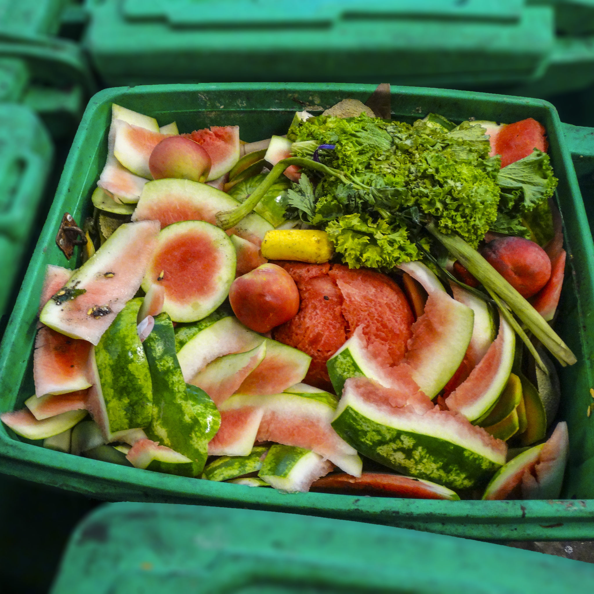 Zero Waste vs Circular Economy - Your Guide to Getting In the Loop ...