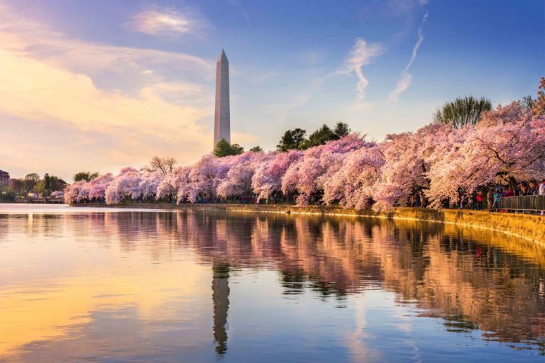 Zero Waste Washington DC - How the District is Working Towards Becoming ...