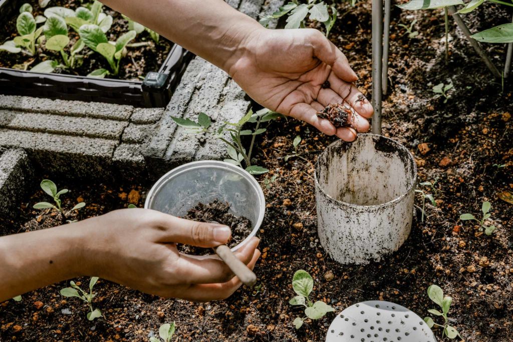 The 10 Best Indoor Compost Bins of 2023 - Zero Waste