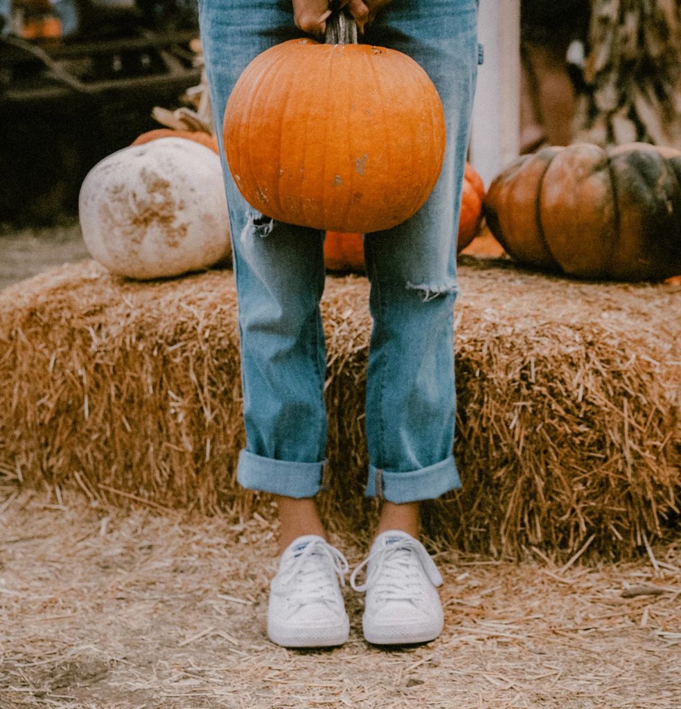 Recycling Pumpkins in Your City or StateRecycling Pumpkins in Your City ...