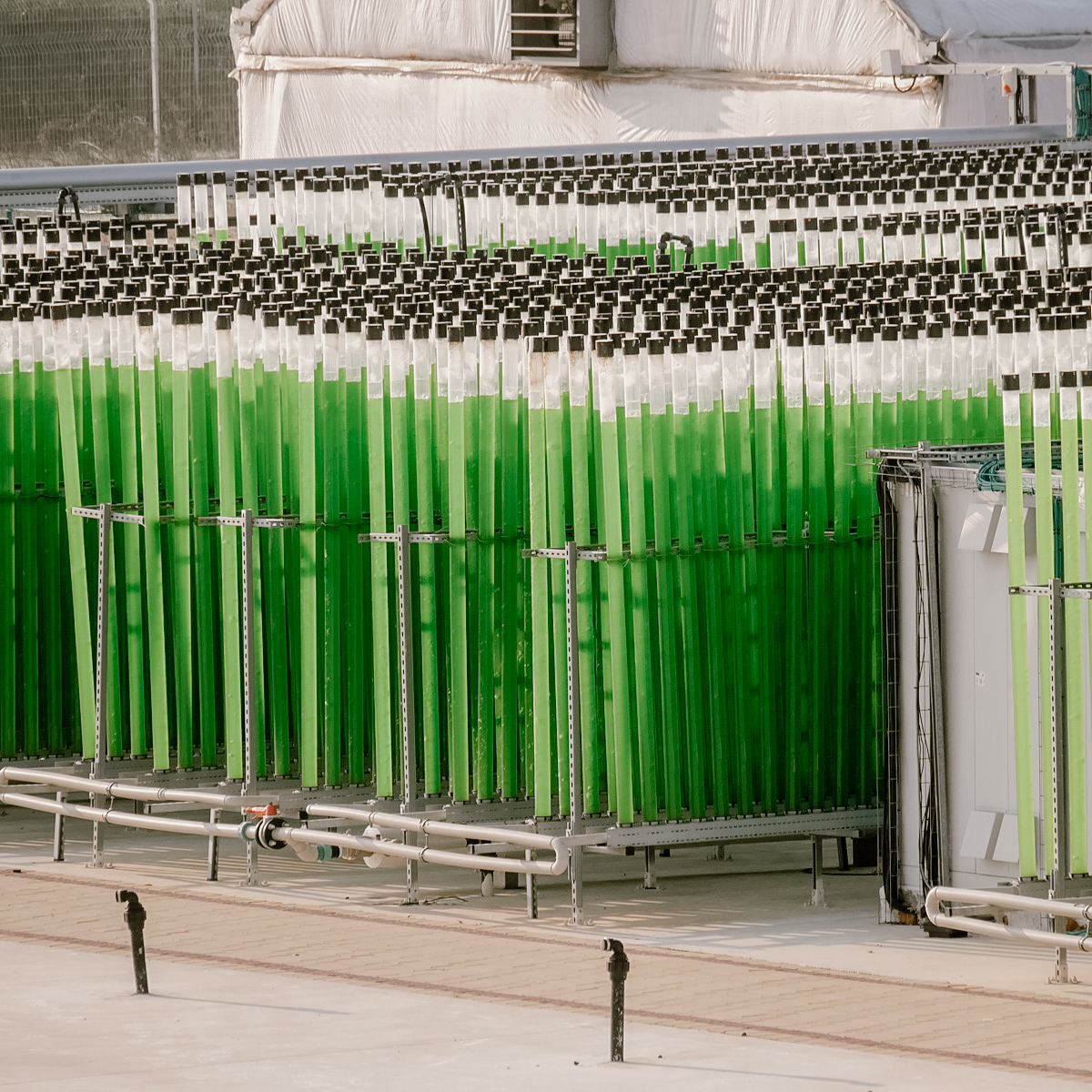 The Zero-Waste Materials Series - Algae - Zero Waste